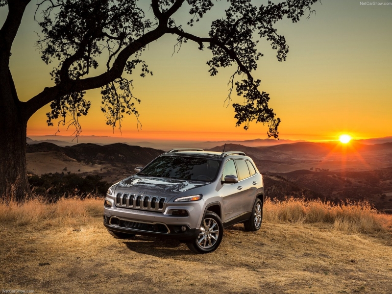 Angebot JEEP Cherokee 2.2 Mjt II 185 CV 4WD Active Drive I Night Eagle